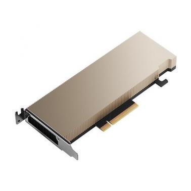 NVIDIA A2 16GB ATX Tensor Core Graphics Card (900-2G179-0020-101) - msy ...